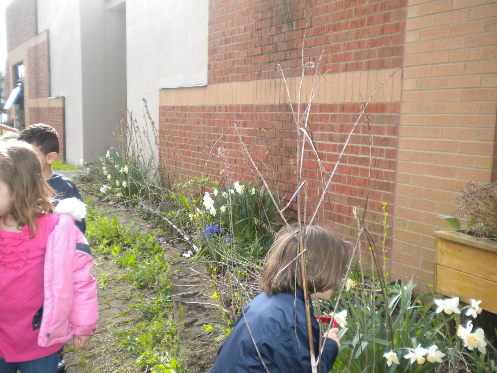 Cachey Mama's World of Learning: Garden Center in the Preschool Classroom
