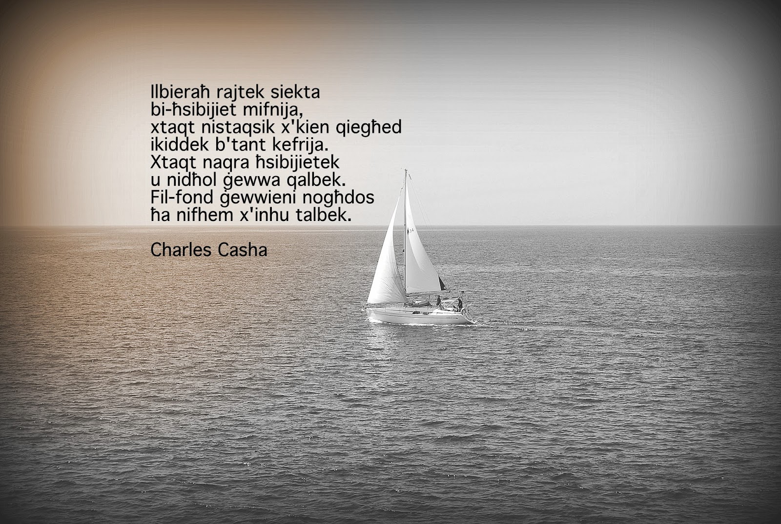 CHARLES CASHA - BLOG : 2013