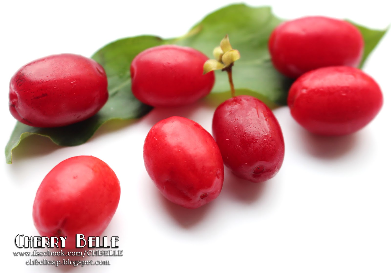 Cherry Belle Beauty & Books: Dereń jadalny – Właściwości i zastosowanie ...