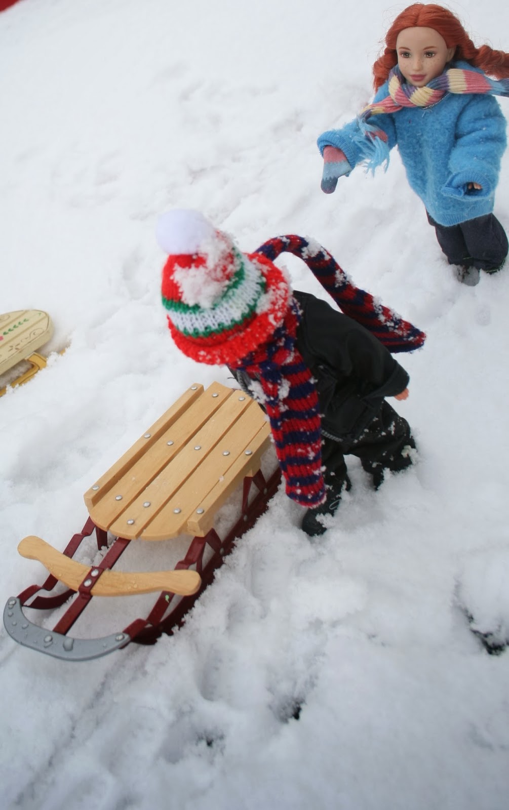 PLANET OF THE DOLLS: The World Kids Go Sledding: A Snowy Photo Story