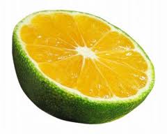 First VitaPlus: FVP Flavors