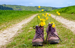 Ruteando Ramilo a Punxeiro