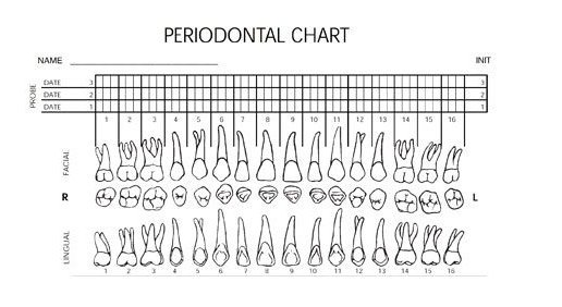 Dental Chart