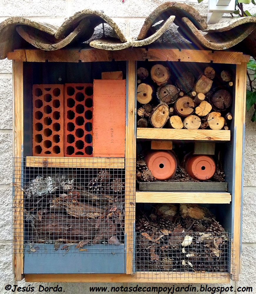 Notas de campo y jardín: El refugio de insectos de mi jardín.