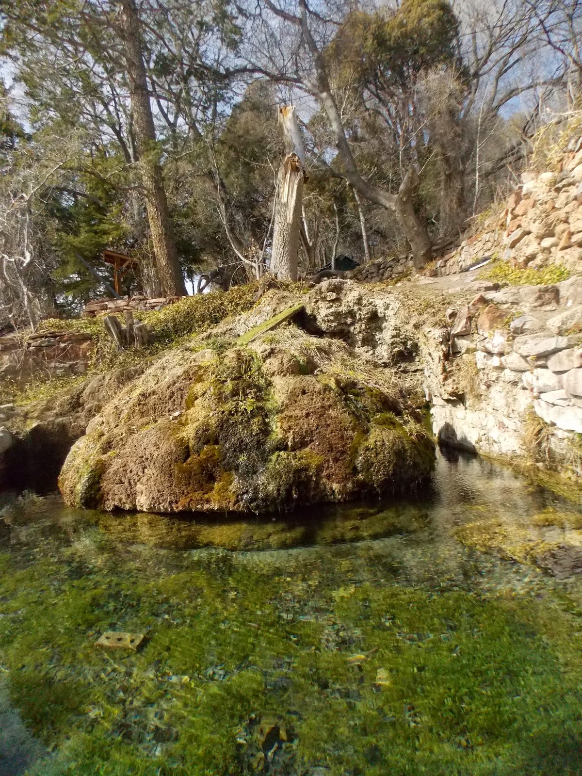 Get Outside, Albuquerque: A Lush Escape to Carlito Springs