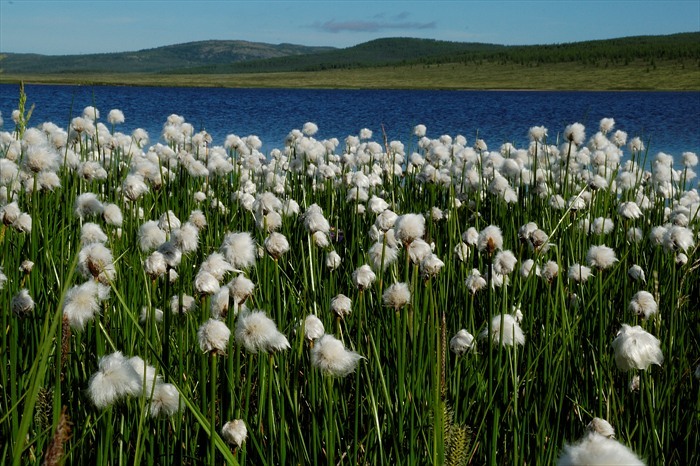 Divagar pela Sibéria VIAJAR é alargar os nossos horizontes - Vamos de ...