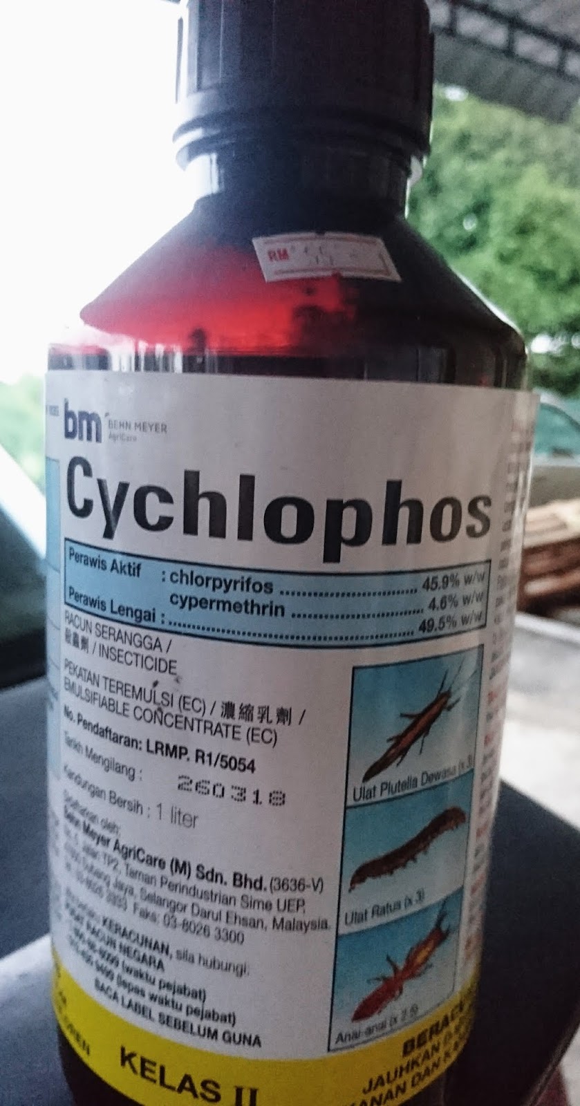 KEBUN TEBU GENG KULAI: Meracun Anai-Anai Selepas Aktiviti Menanam