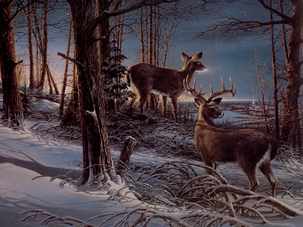 Terry Redlin Art ~ Desktop Wallpapers