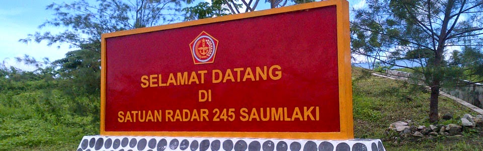 Satuan Radar 245