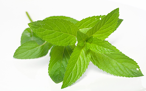 ZöldBrokkoli: Borsmenta