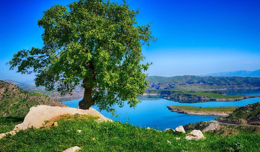 The Land of Kurds -Kurdistan (Anatolia-Mesopotamia): Kurdish (Medes) People