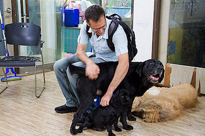 The Presurfer: Puppy Cafe