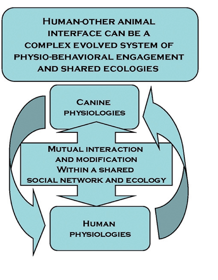 The Evolution of Human Behavior: New Approaches to the Evolution of ...