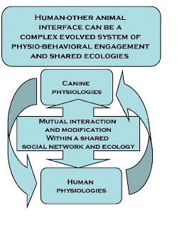The Evolution of Human Behavior: New Approaches to the Evolution of ...