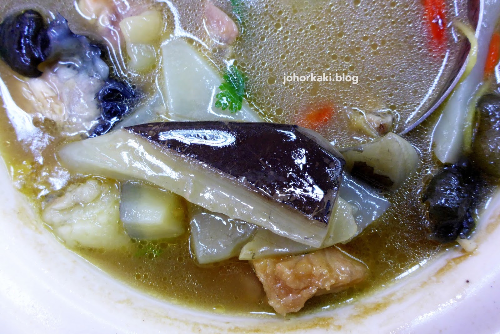 Ser Seng Turtle Soup @ Geylang Lor 21 Singapore 生成山瑞補品 ⭐⭐⭐⭐ |Tony Johor ...