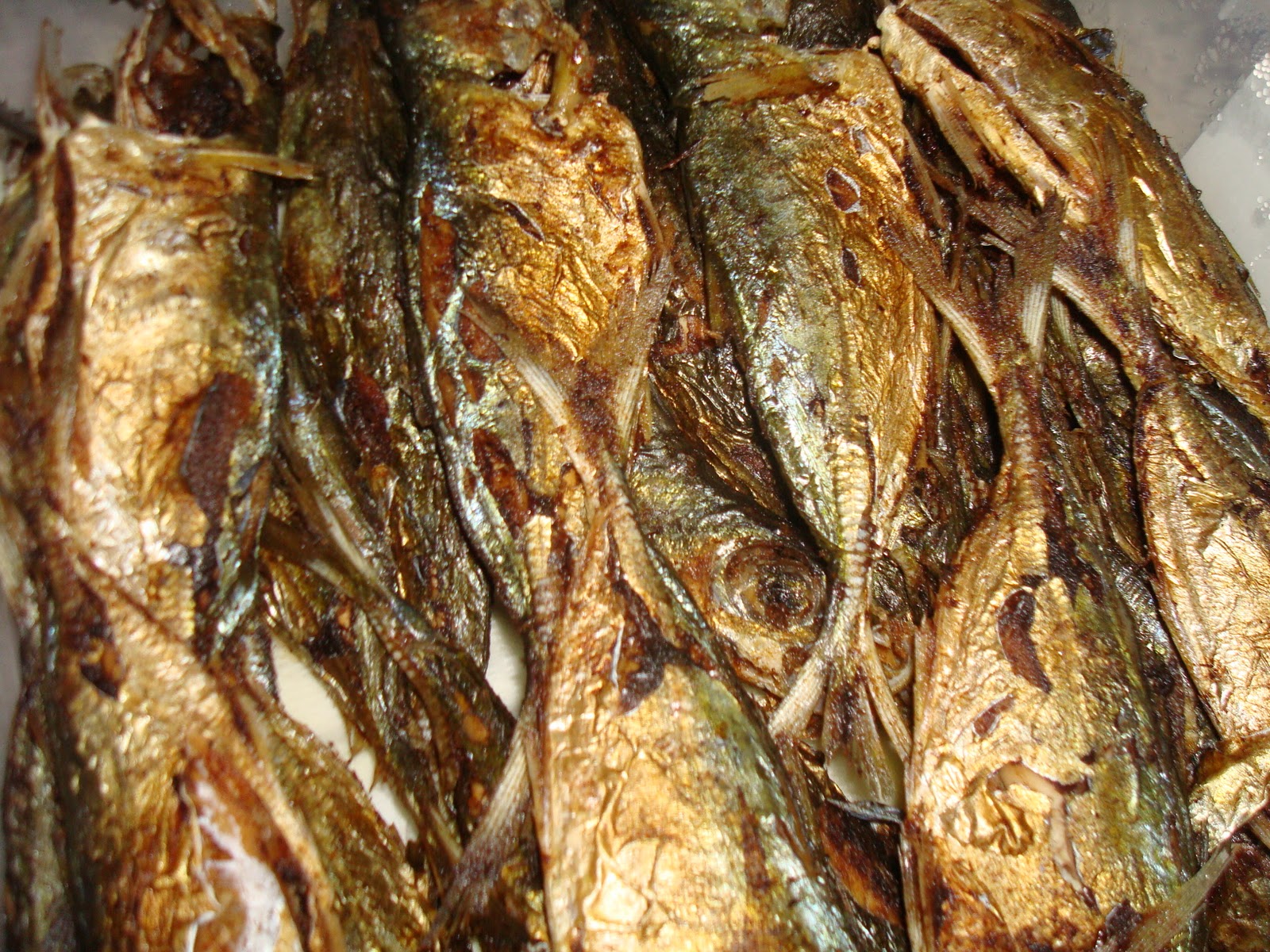 paleric: ÅGGON YAN TOTCHE