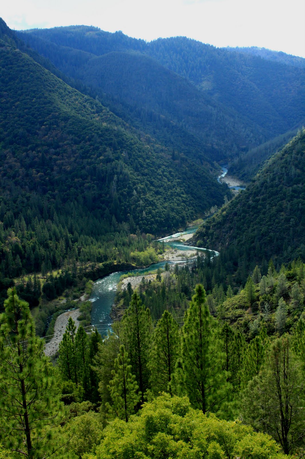 Bluebear's Photo Gallery: American River Canyon