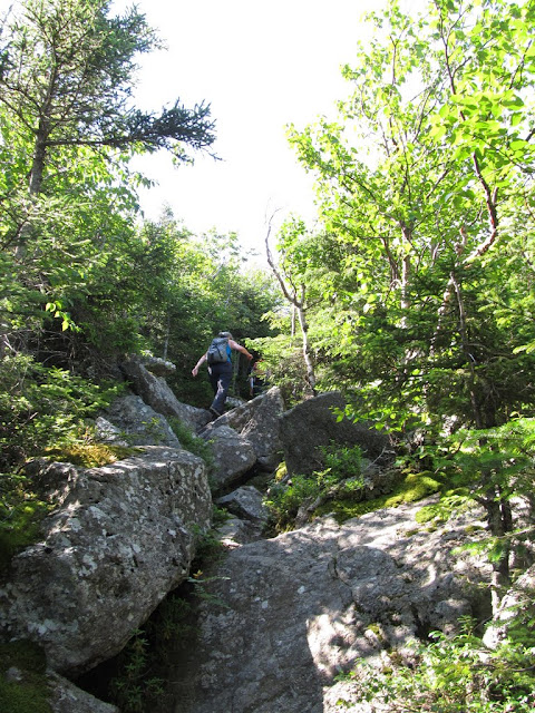 Ramblings: Seeking an Alternate Peak - Mt Adams via King Ravine