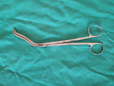 Gandhi Medical College: Surgical Instruments - Forceps