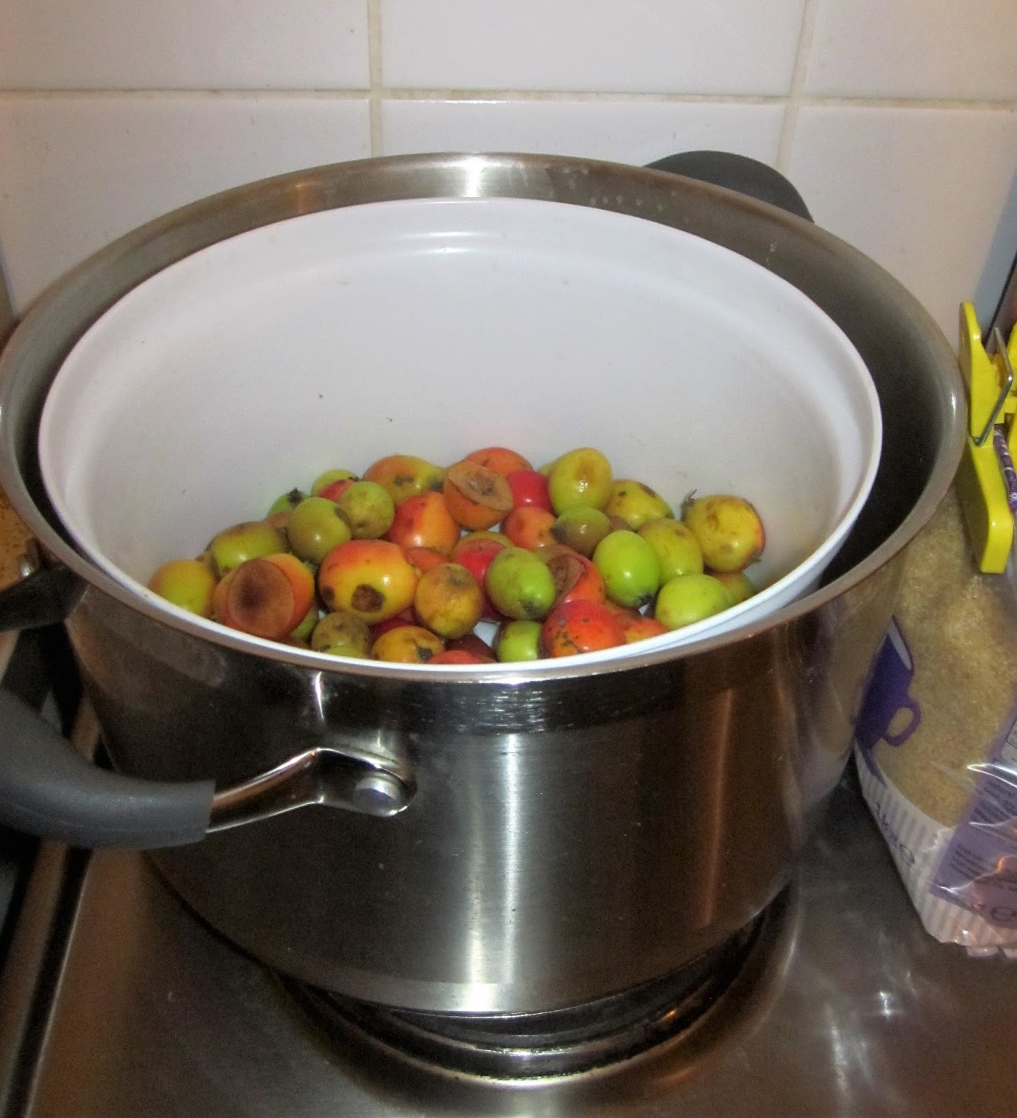 ColdhamCuddliescalling: Sampling Local Foraging opportunities as well.