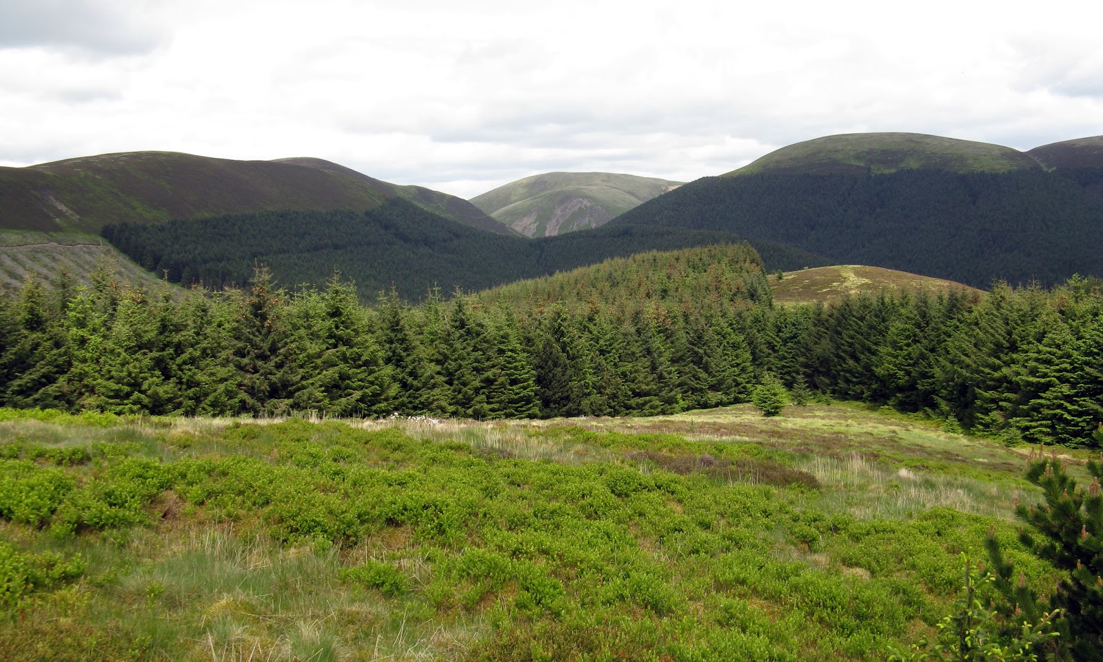 Neil's Hillwalking Exploits: May 2011