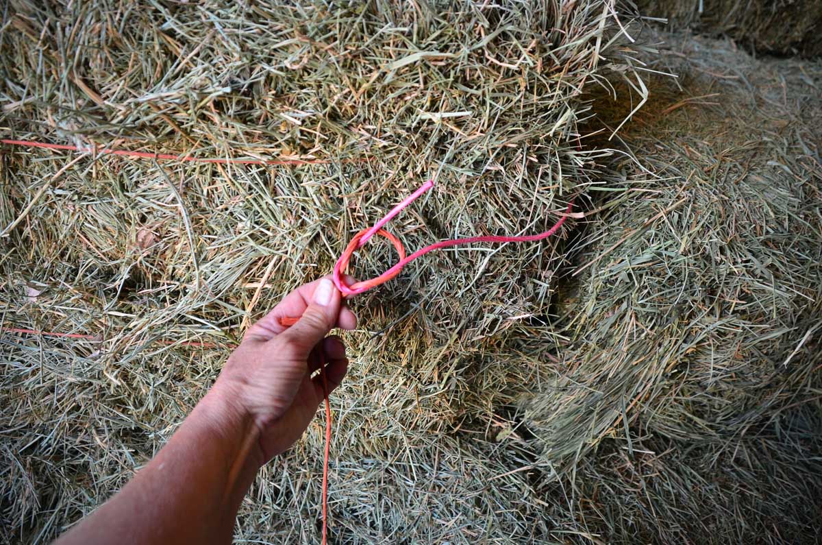 The 7MSN Ranch: Hay bale repair ~ a tutorial