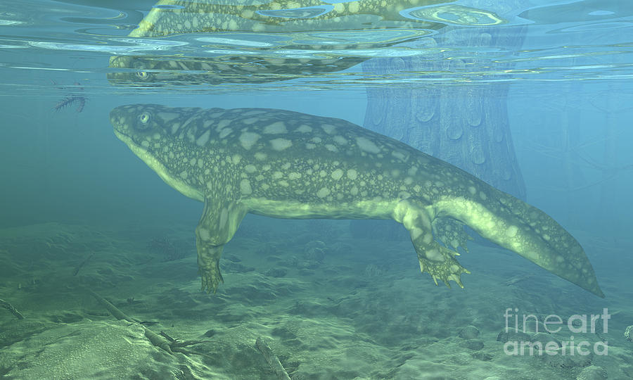 Blog de la Vida Prehistórica: Ichthyostega