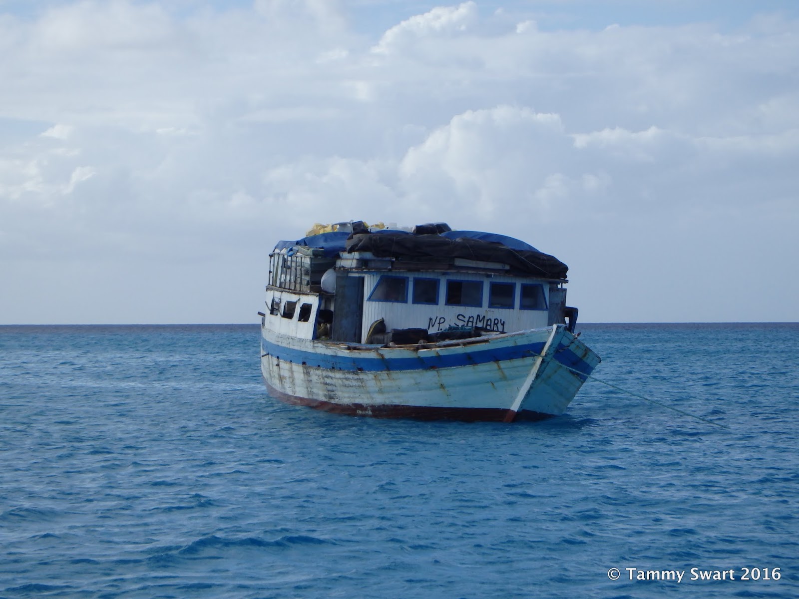 Things we did today...: Great Inagua Far Bahamas