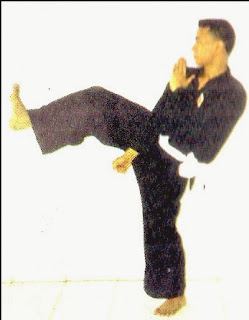 Macam macam Tendangan Dalam Pencak Silat - Pencak Silat Indonesia