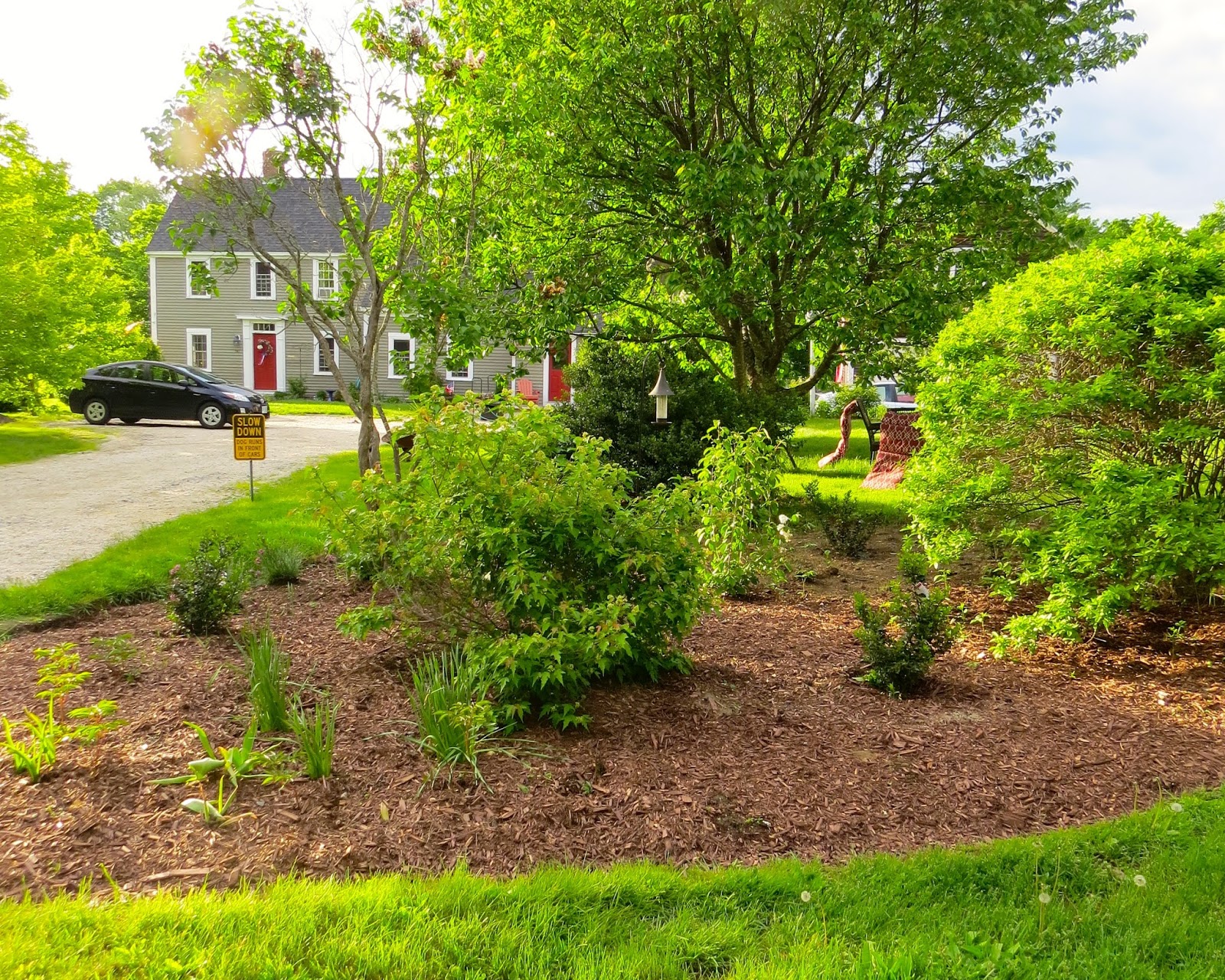 The Long Awaited Home: Our Great Big Summertime Yard Tour