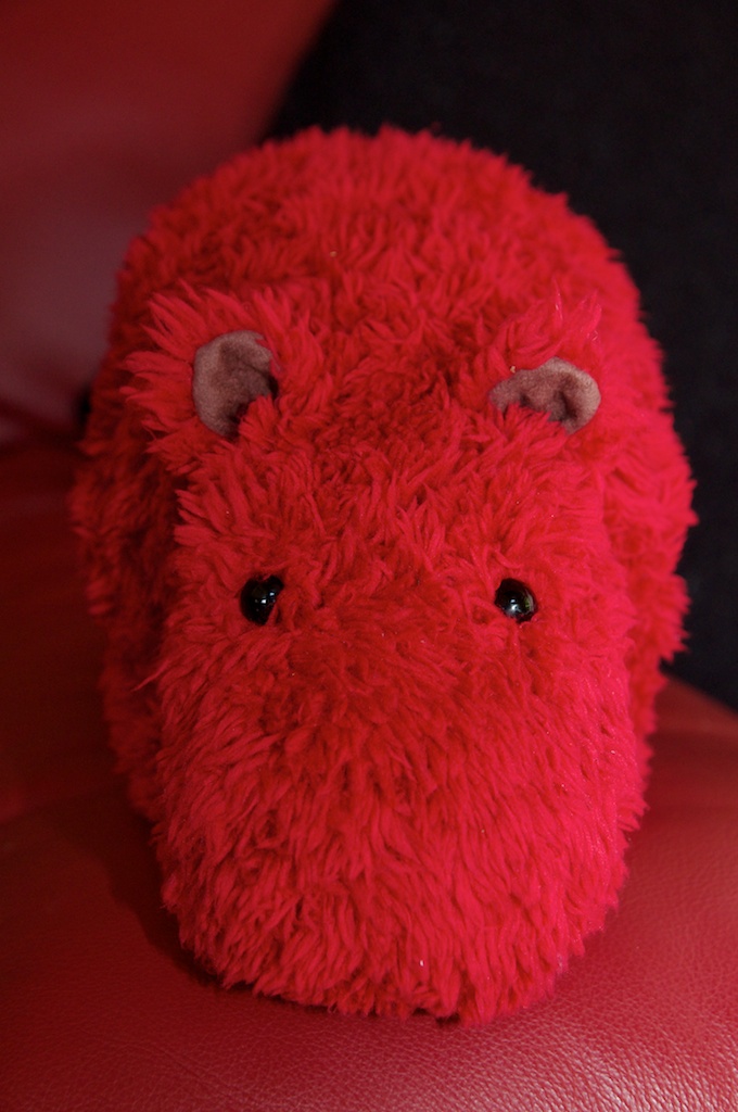 jules' stitchin': hippo-crit