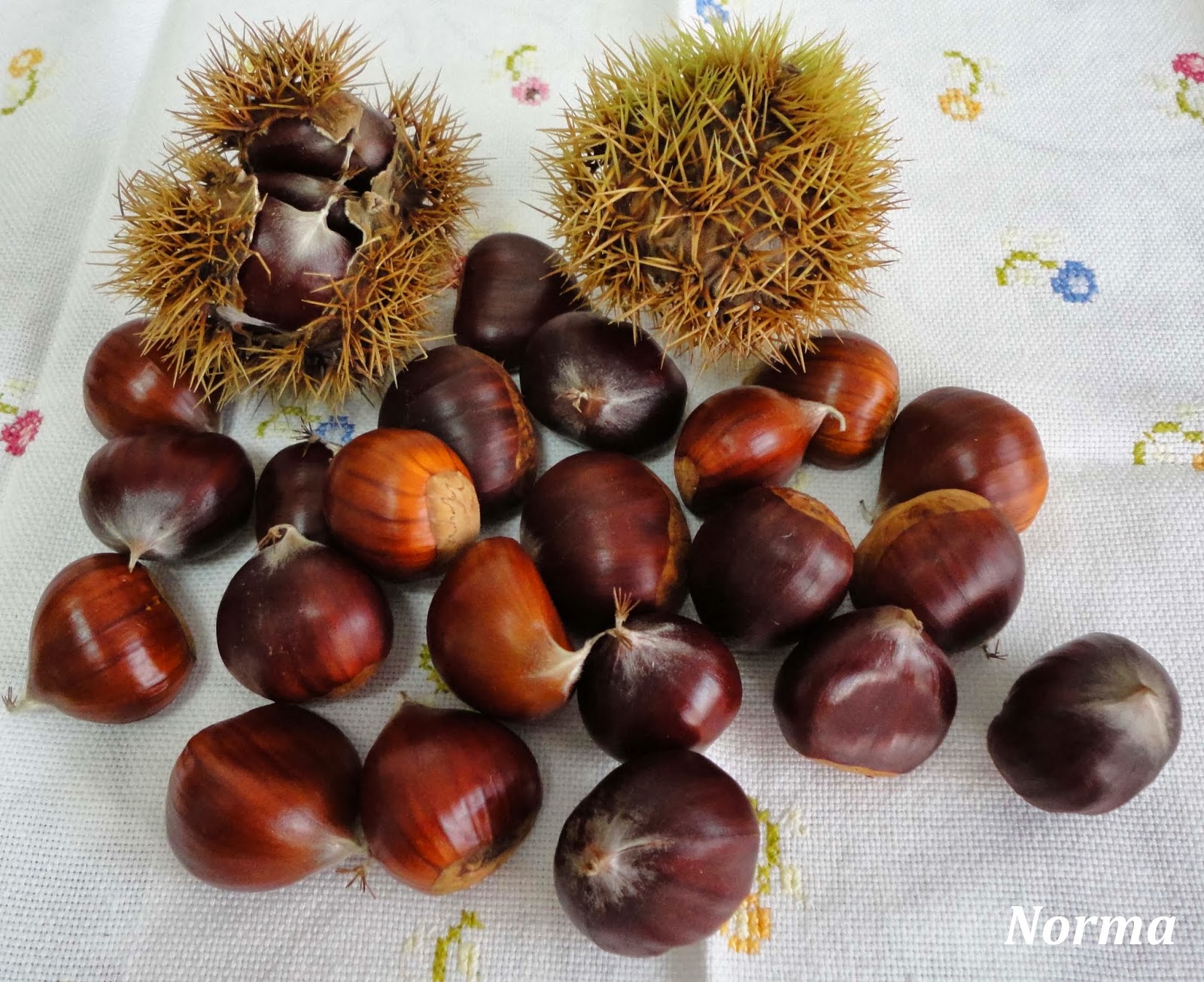 Cinco Fogones: OTOÑO ÉPOCA DE CASTAÑAS