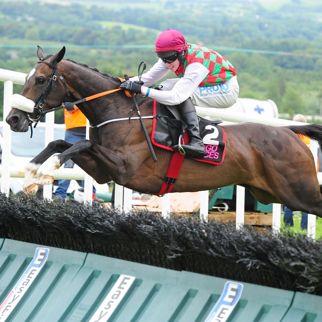 David Green: How to Win Betting on Horse Racing