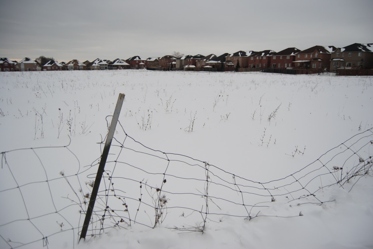 leilakulla: Photo Basics