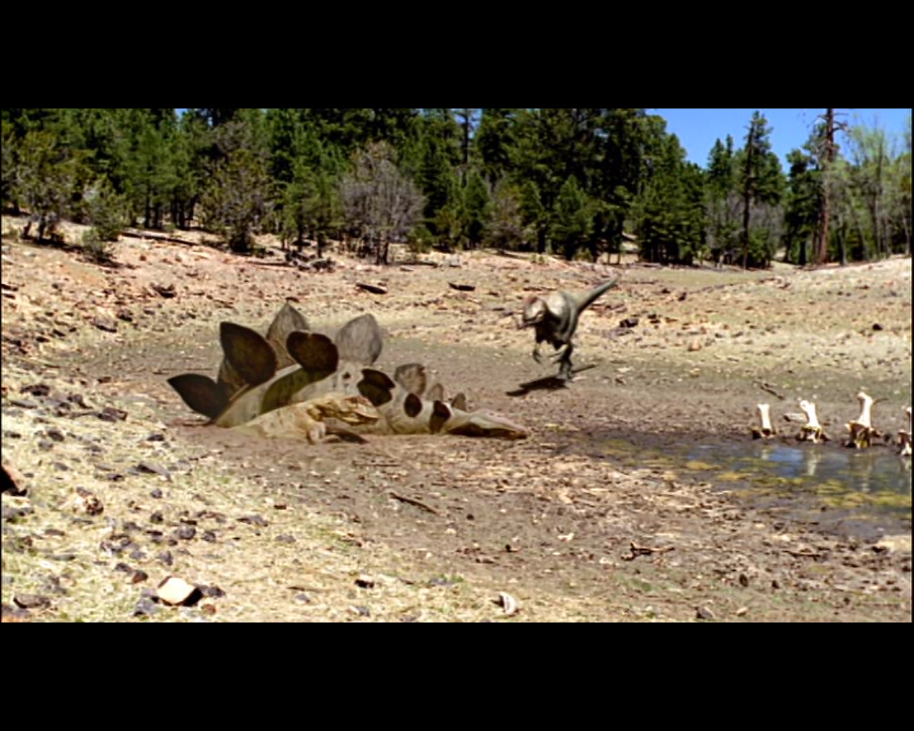 What happens when a non-accredited paleontology fan blogs: Documentary ...