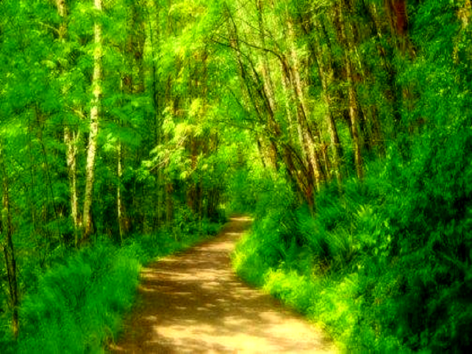 Aguas de Conciencia: El Sendero del Mago -Deepak Chopra-