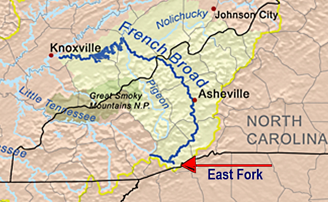 A Year On The Fly: FREE Original ART!!! Plus A Trip Report Fishing The ...