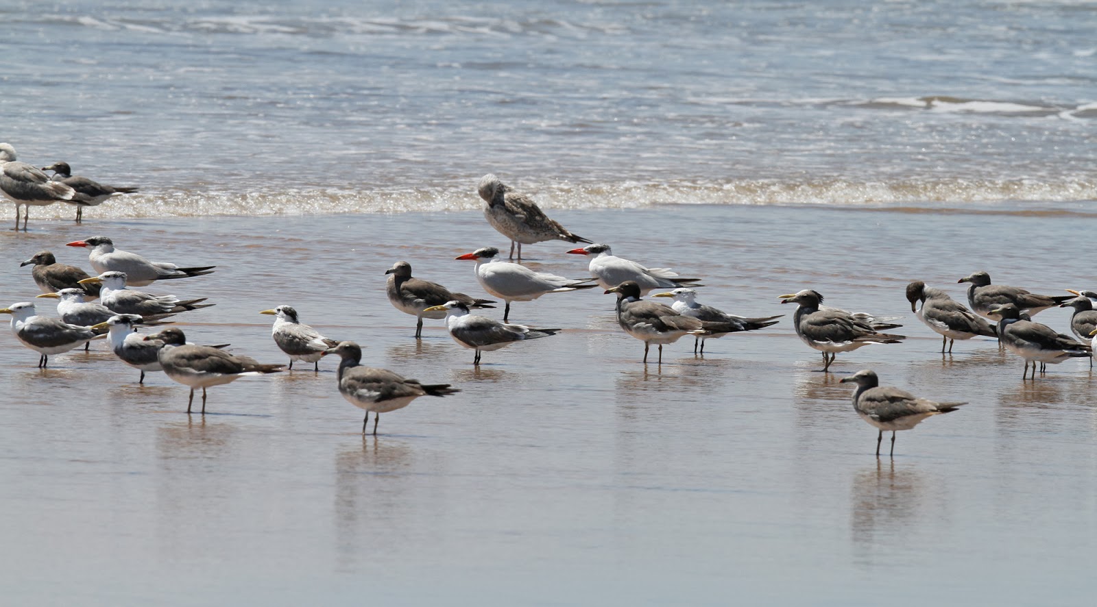 Simon and Karen Spavin: Sabaki River Mouth