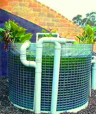 When Bioseptic Tanks Are Set Up