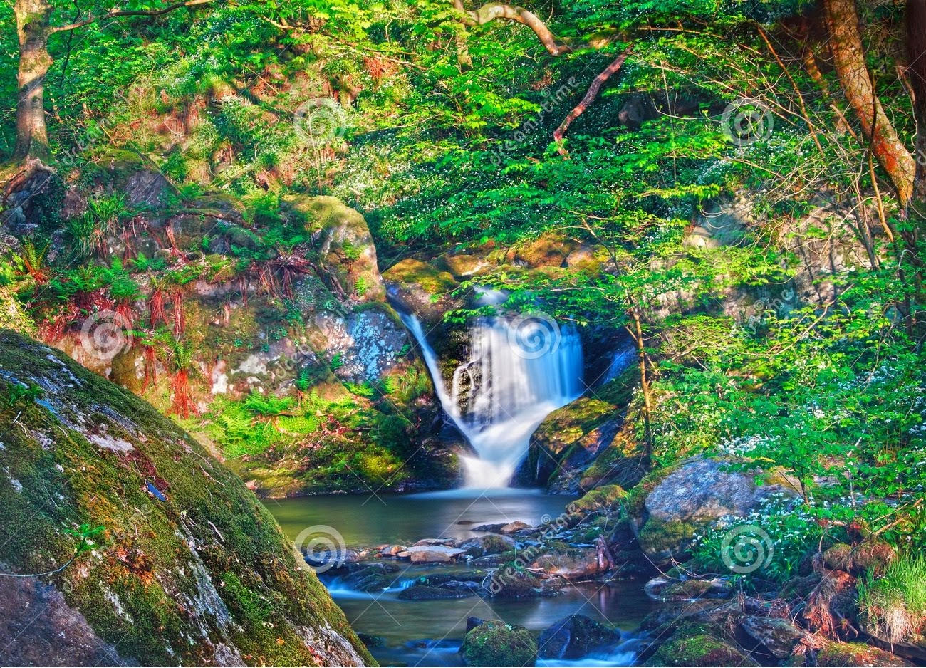 CAZA DEL TESORO "LAS CANCIONES INFANTILES TRADICIONALES"