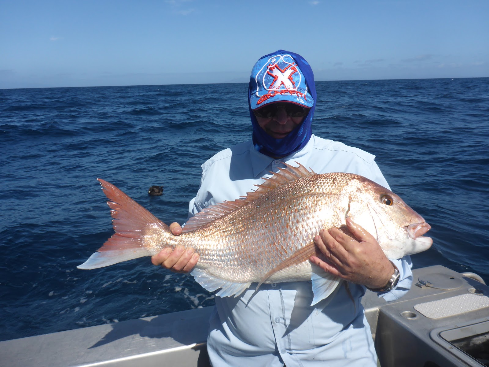 Scotty Fishing Life: NZ Big Kings & Snapper report