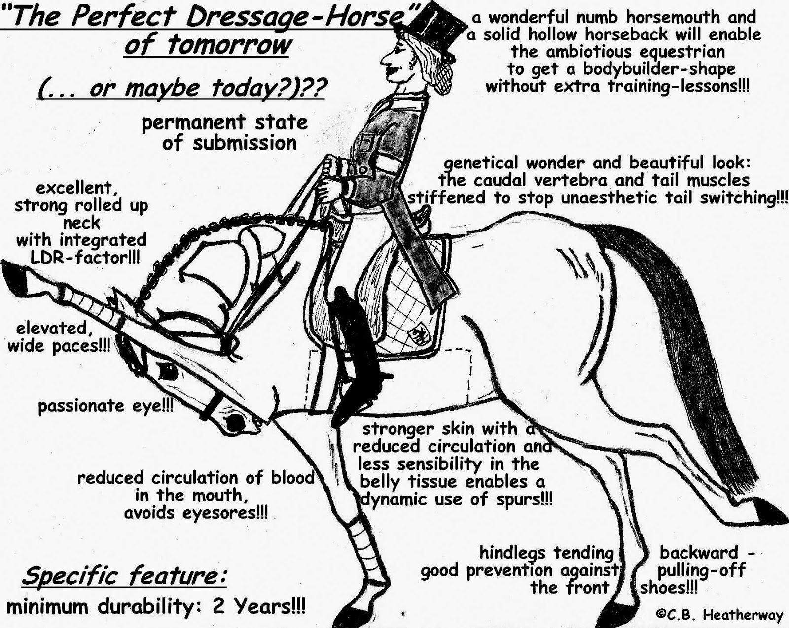 Dressage Enthusiast With A Spin On It: June 2014