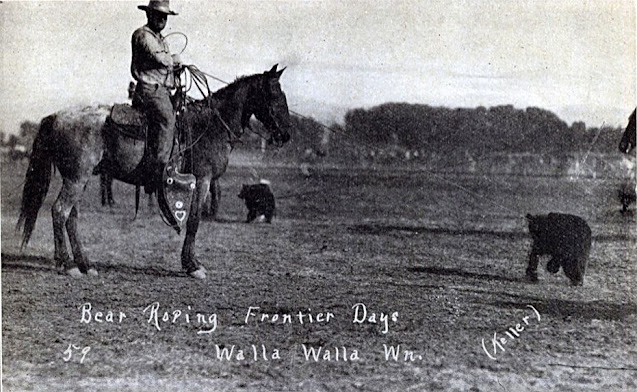 Bygone Walla Walla: vintage images of the City and County (and beyond ...