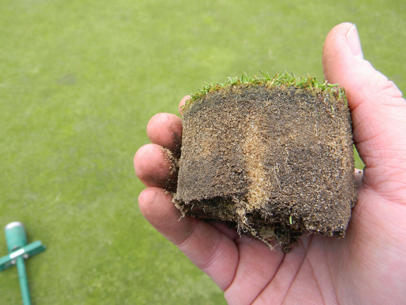 Chantilly National Golf and Grounds: GREENS AERIFICATION - NEXT WEEK