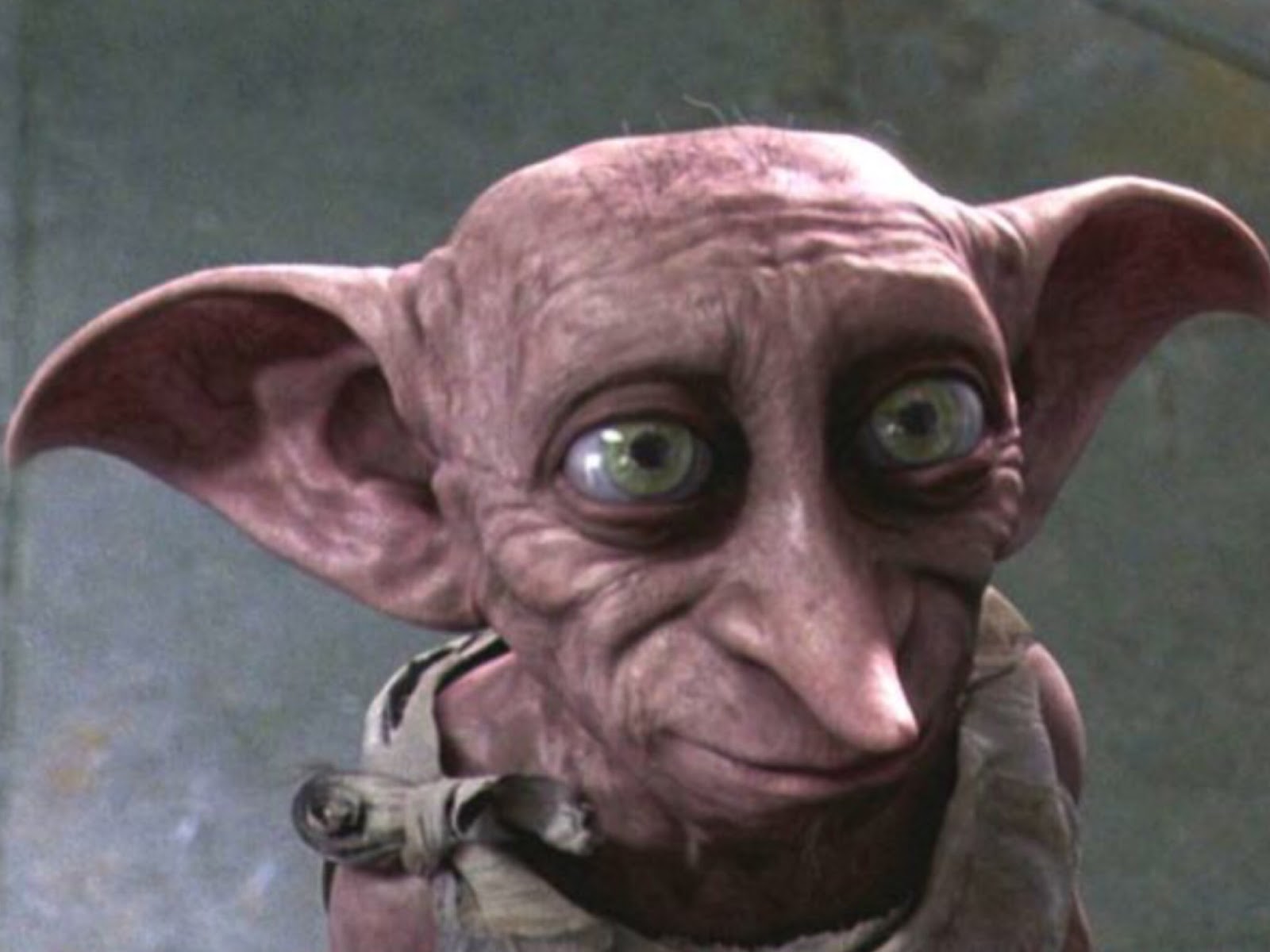 La muerte de Dobby un elfo libre