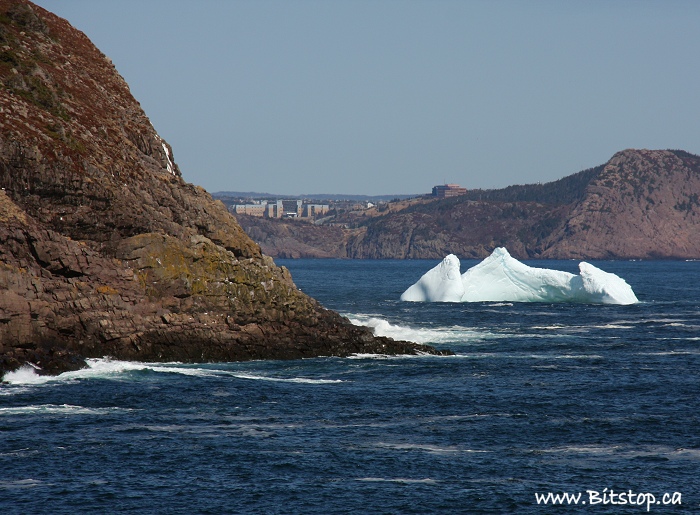 Bitstop: Cape Spear Iceberg