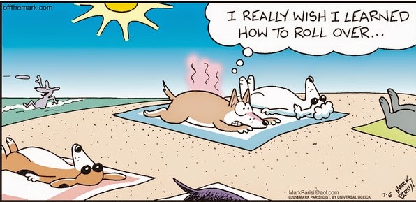 Tricia's Tidbits: SUMMER JOKES AND HUMOR