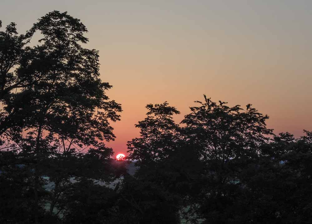 Friday, June 21 - Early Morning Neighborhood Walk | My Daily Photo Walk ...