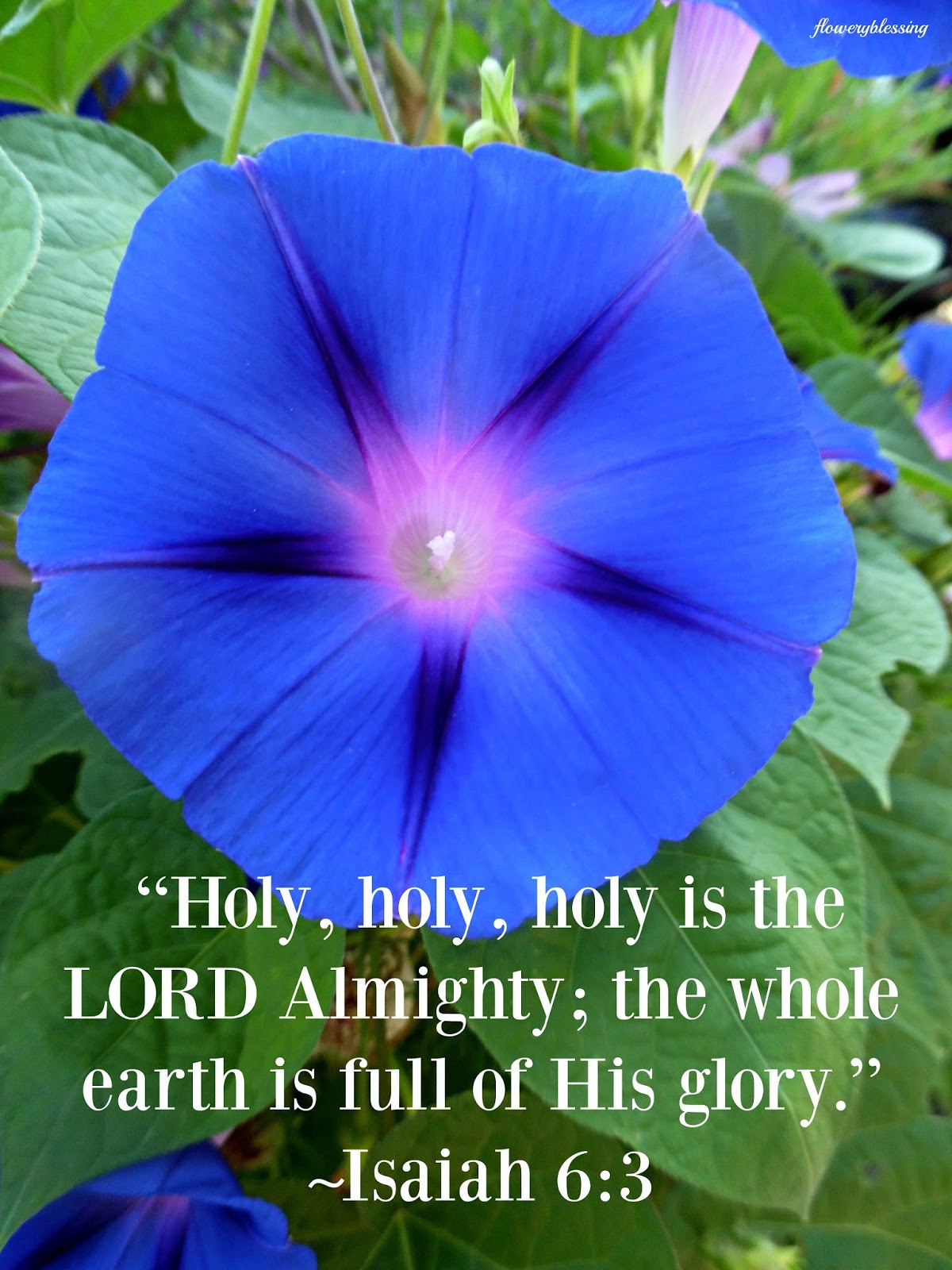 Flowery Blessing: “Holy, holy, holy is the LORD Almighty; the whole ...