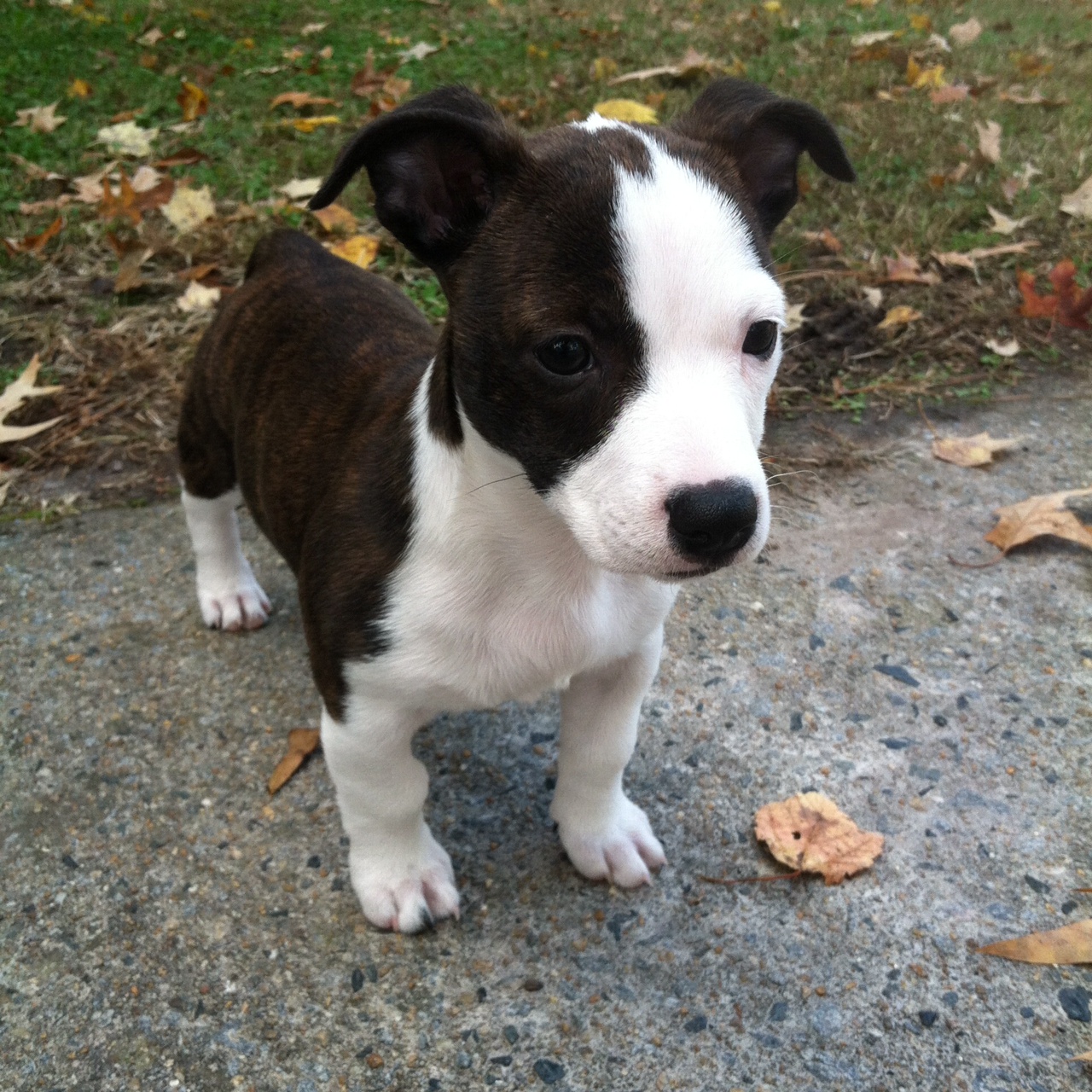 peace love linds: MOLLY OLLY OLLY